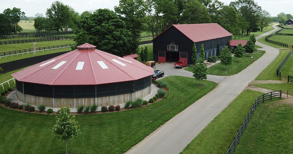 Ceiling-Mounted Walker - Kraft-horsewalker