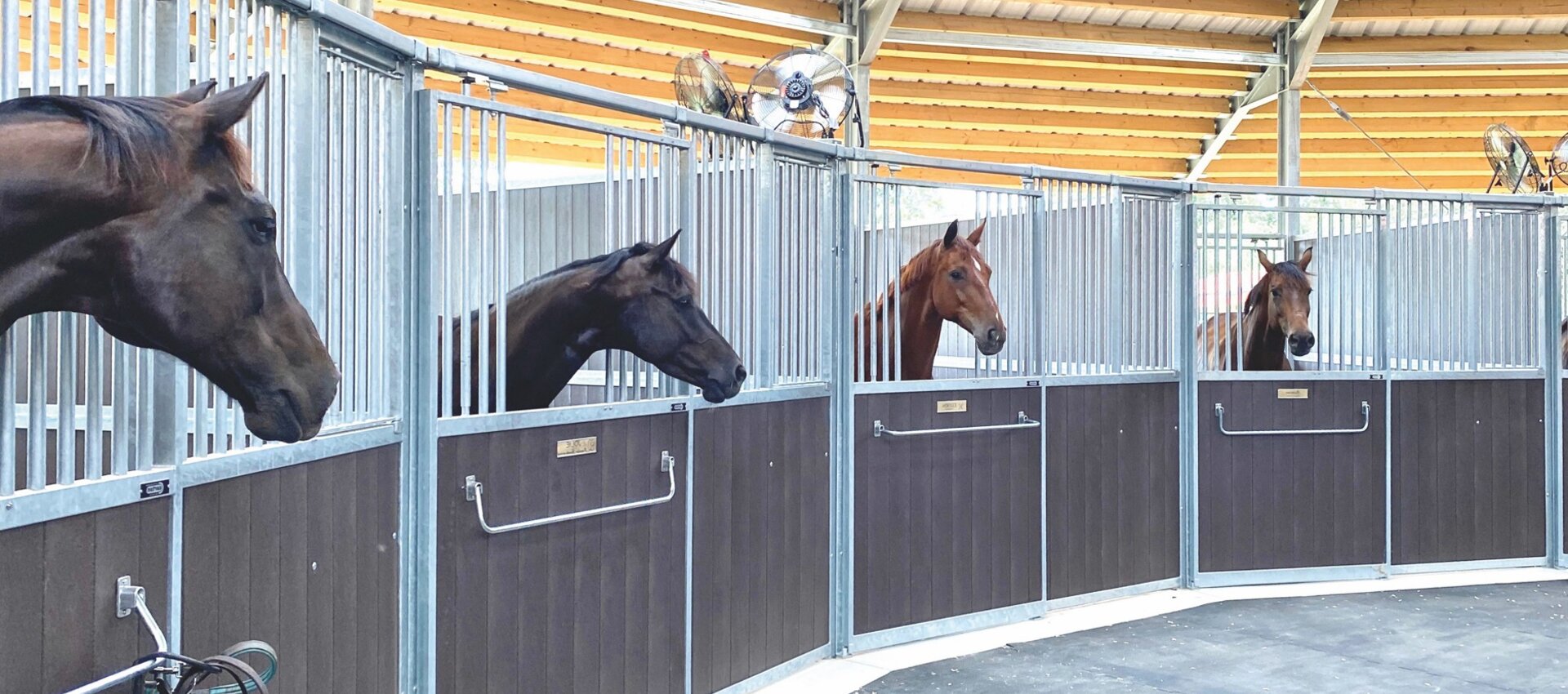 Round Stables with paddock boxes and / or horse walkers - Kraft-horsewalker